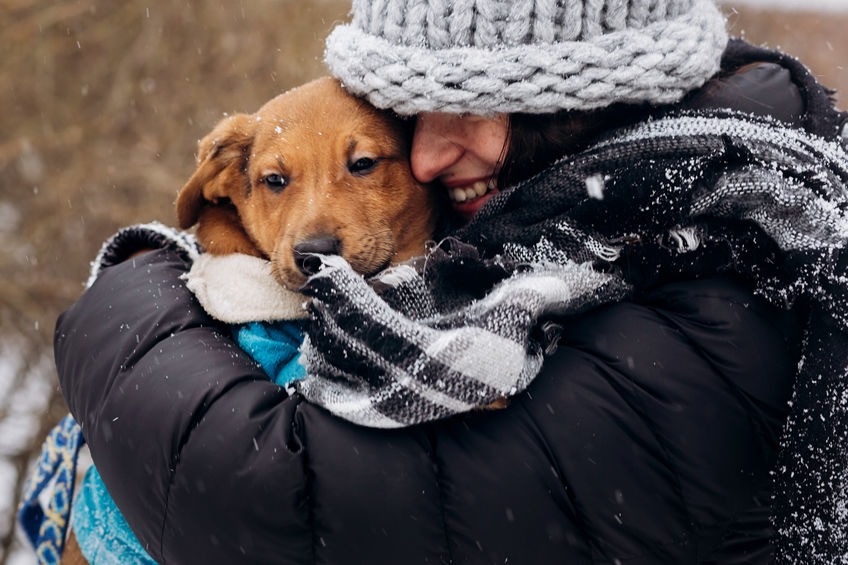 Winterizing your dog's routine in Greensboro's unique climate